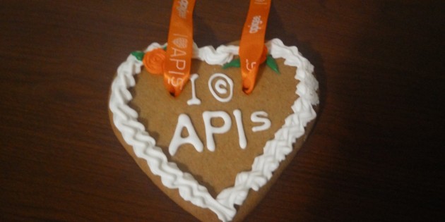 I Love APIs Conference - SAP PI course